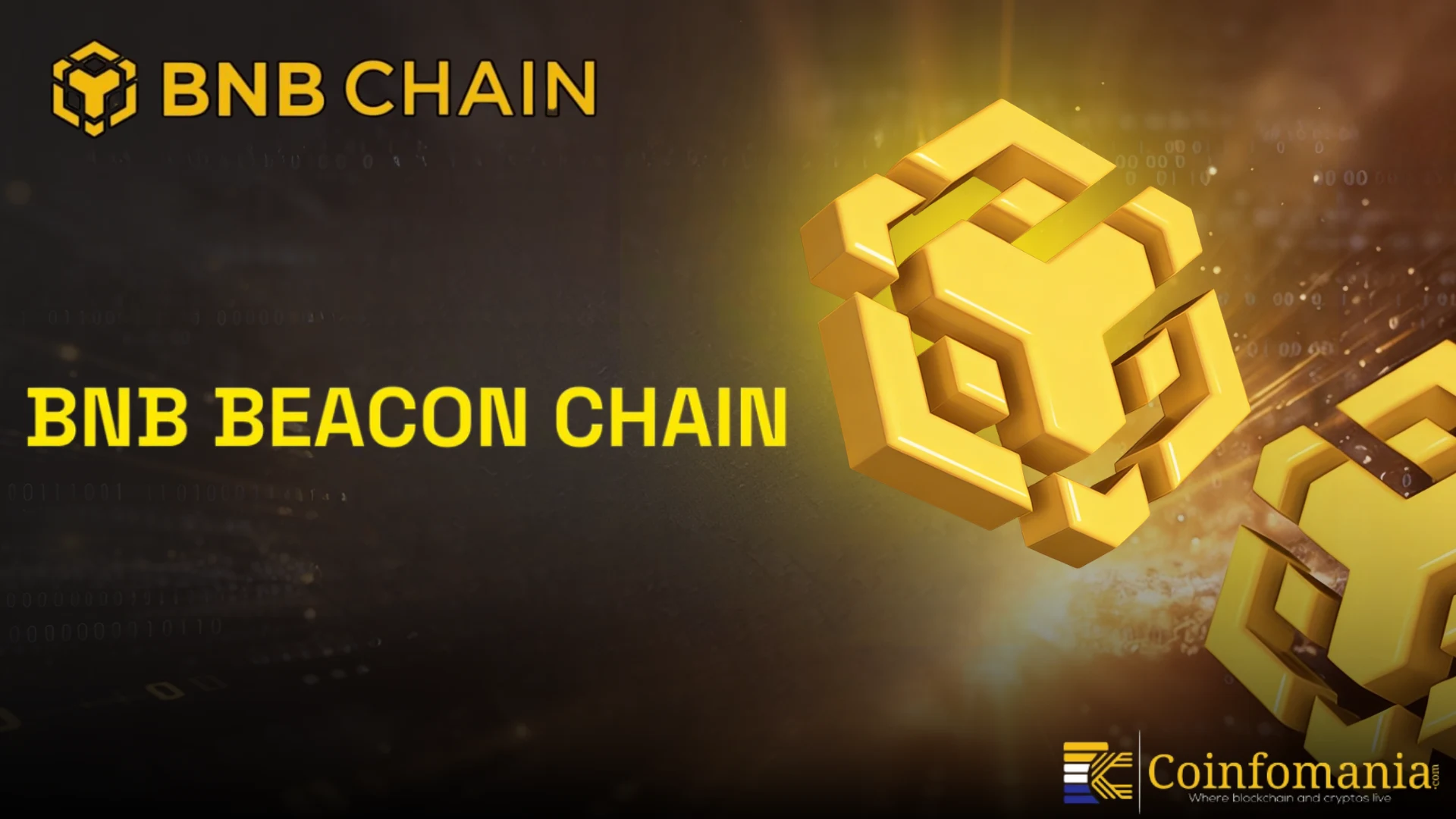 BNB Chain Avertit Alors Que L’Outil de Récupération de Jetons de Beacon ...