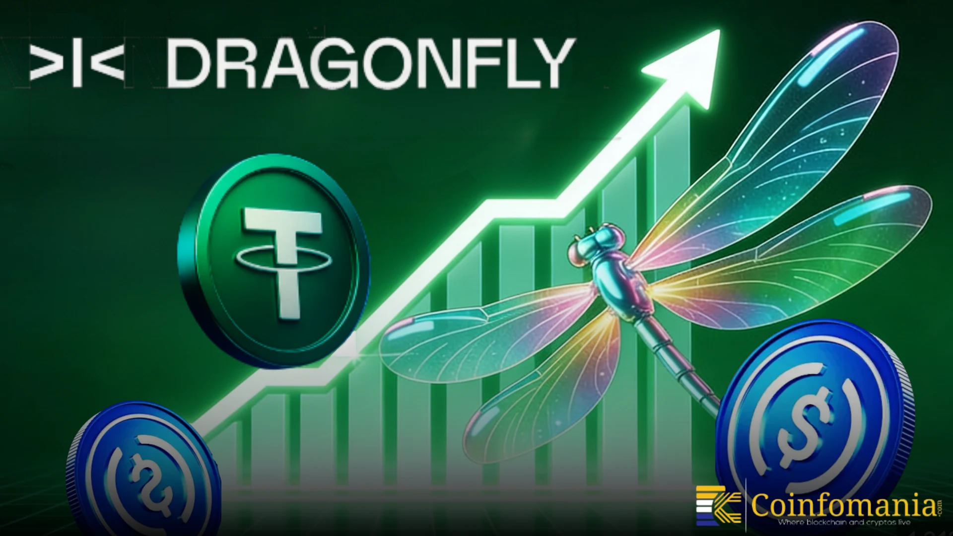 Dragonfly Capital sammelt 650 Millionen Dollar ein und setzt massiv auf ...