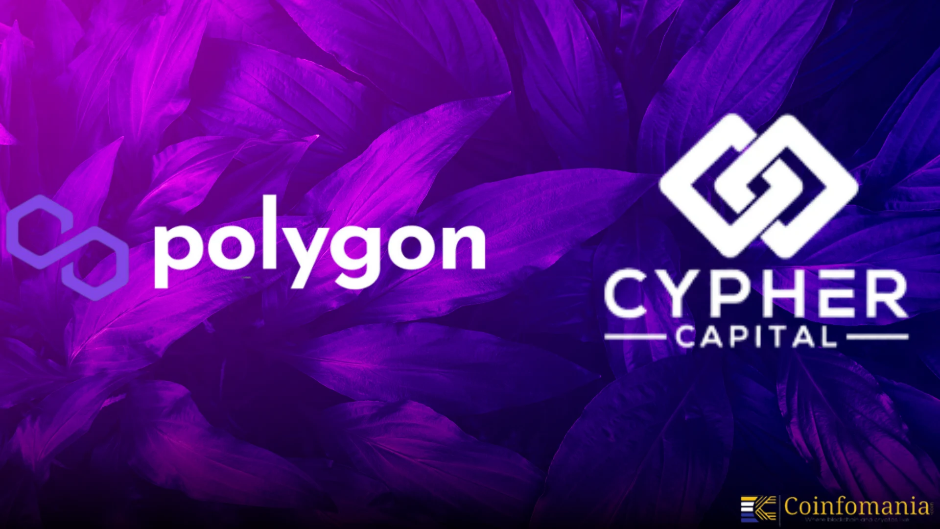 Polygon collabora con Cypher Capital per espandere l’accesso a POL in Medio Oriente