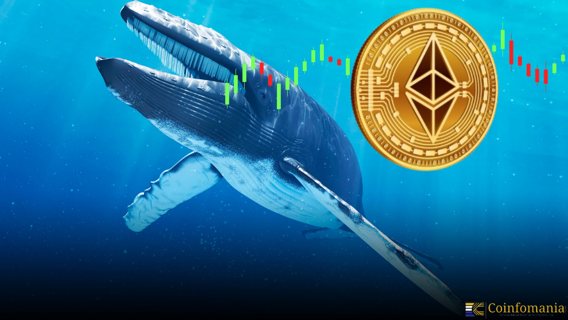 Ethereum Whale Accumulation Hits $2.38B