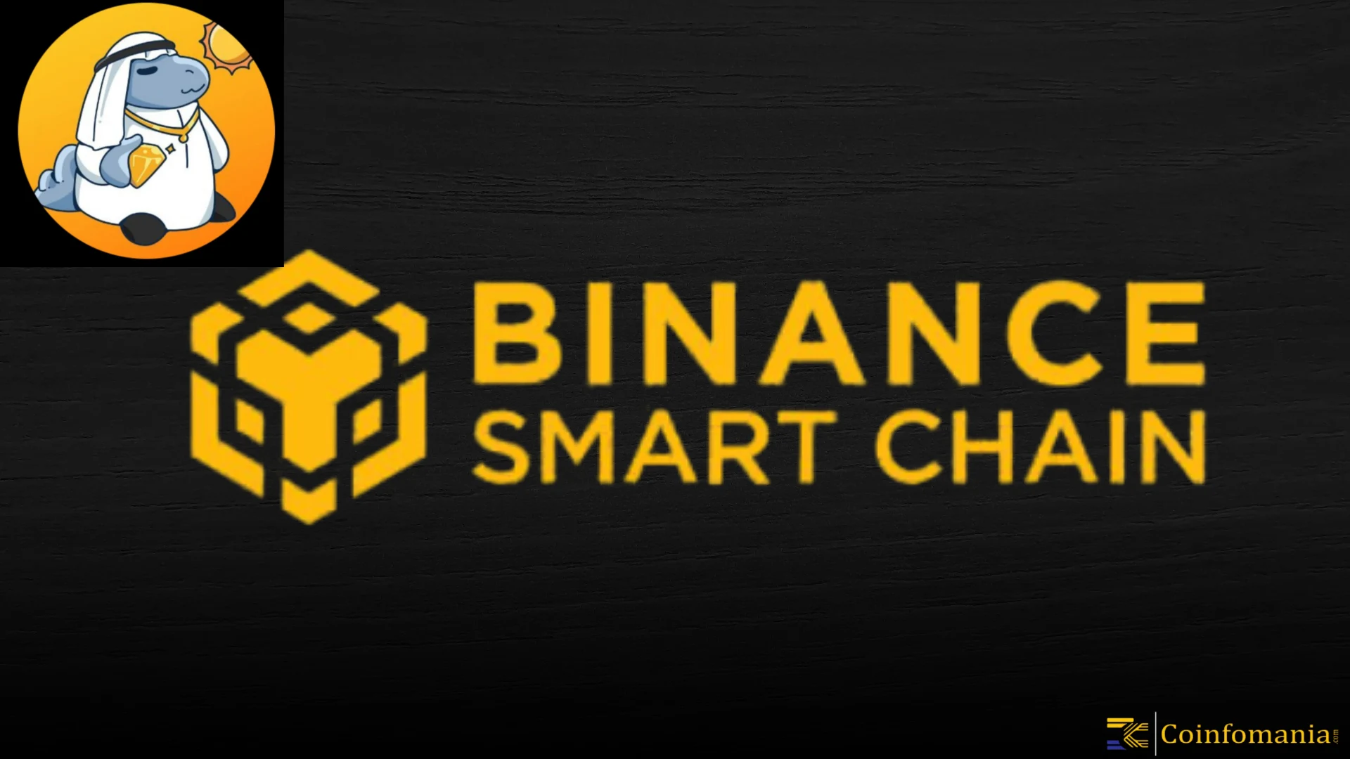 BNB Chains MCP Protocol Powers Caila A Real World AI Agent For Travel ...